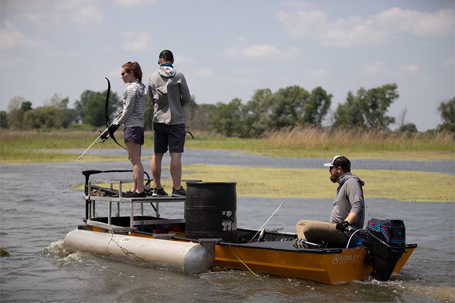 Bowfishing 101: All the basics you need to know before bowfishing
